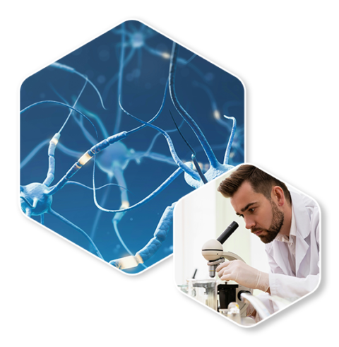 Our Products - Stirling Anglian Pharmaceuticals